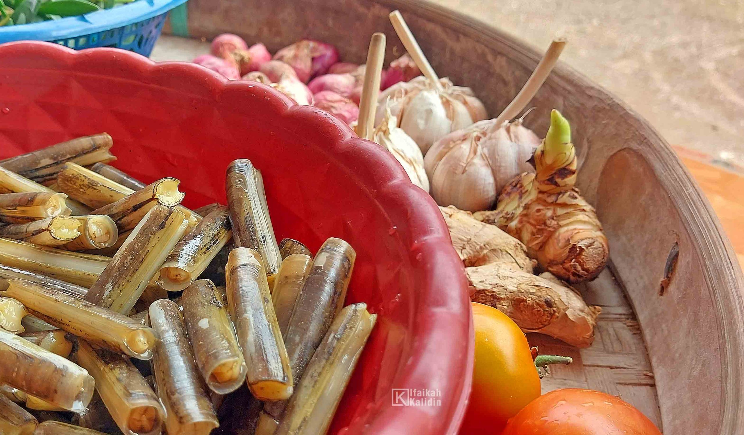 Mengenal Lorjhu': Kerang Bambu di Pesisir Selatan Madura - Carèta Embuk
